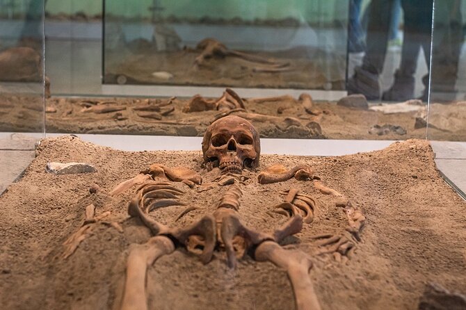 Eastern Serbia: Iron Gate National Park Day Trip - Key Points