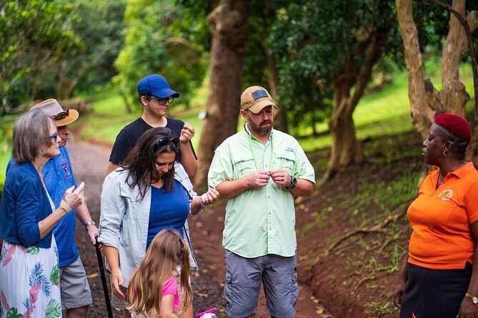 Eastern Tours/ Mt. Carmel Falls / Laura Spice Tour / Clarke's Court Distillery - The Sum Up