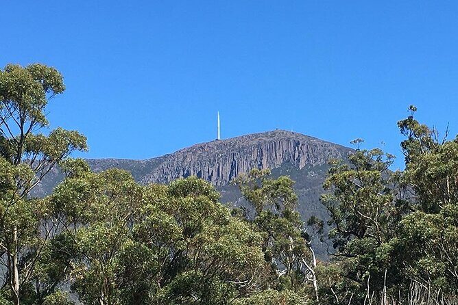 Easy Bike Tour - Mt Wellington Summit Descent & Rainforest Ride - An In-Depth Look at the Tour Experience
