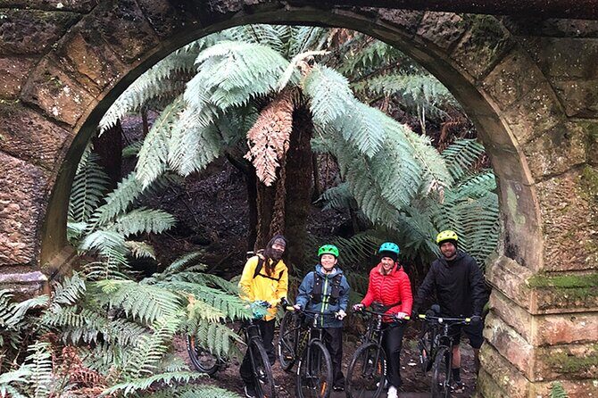 Easy Bike Tour - Mt Wellington Summit Descent & Rainforest Ride - Final Thoughts: Who Is This Tour For?
