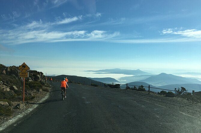 Easy Bike Tour - Mt Wellington Summit Descent & Rainforest Ride - Final Words