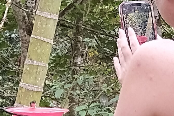 Easy Birdwatching in Cali Colombia (4 Hours) - Key Points