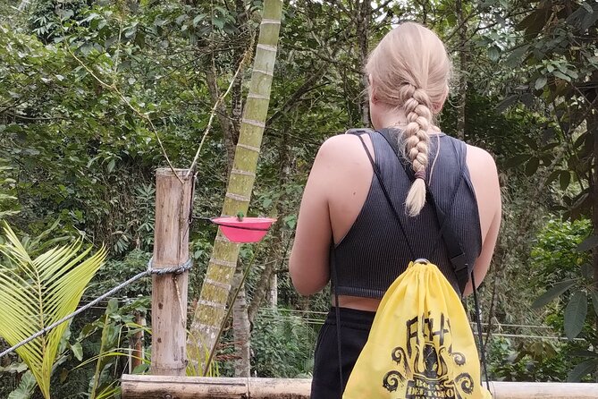 Easy Birdwatching in Cali Colombia (4 Hours) - Highlights of the Experience