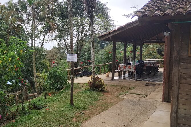 Easy Birdwatching in Cali Colombia (4 Hours) - Birdwatching Locations