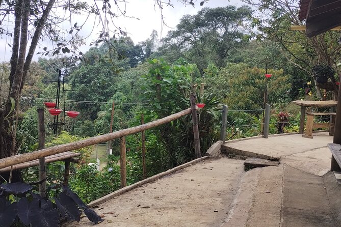 Easy Birdwatching in Cali Colombia (4 Hours) - Accessibility and Participation