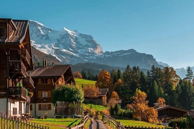 Easy Countryside Tour in Swiss Alps - Kids Friendly - Accessibility and Participation Guidelines