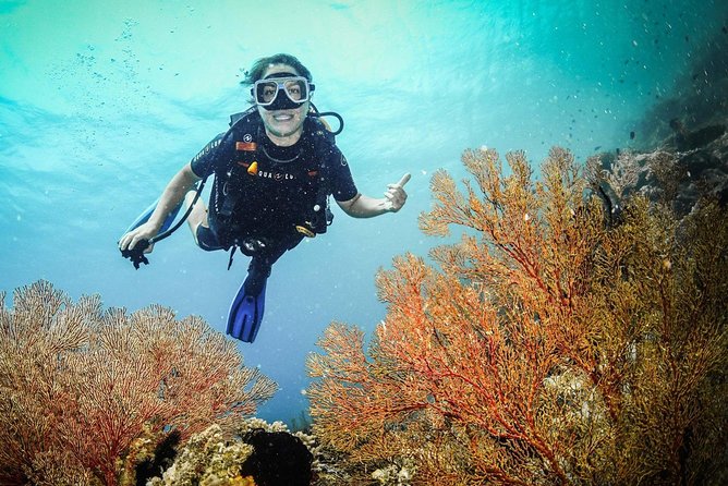 Easy Fun Scuba Dive in El Nido - The Experience of the Marine Environment