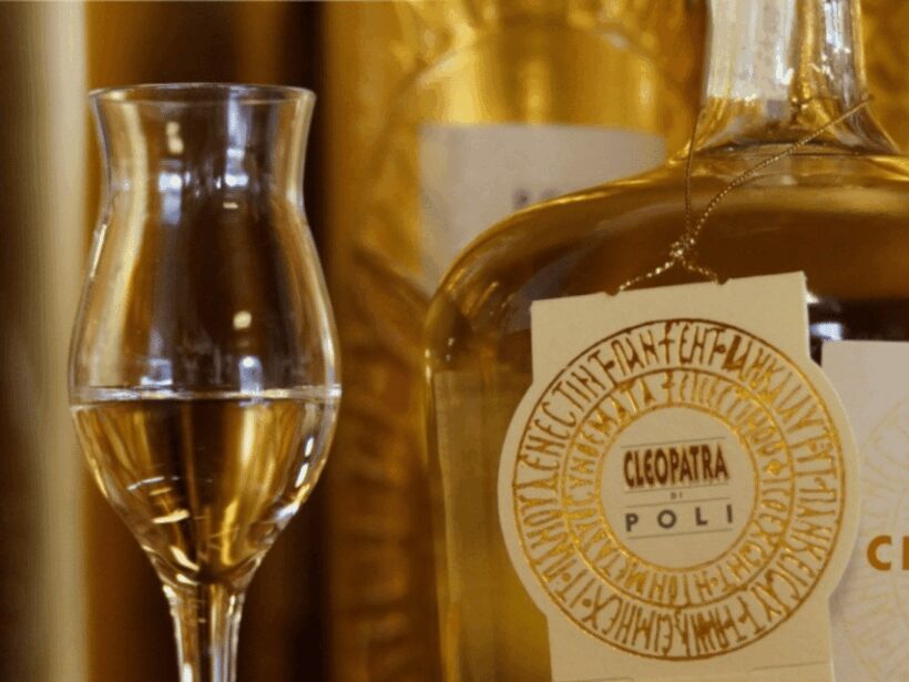 Easy Grappa Tasting in Venice - Key Points