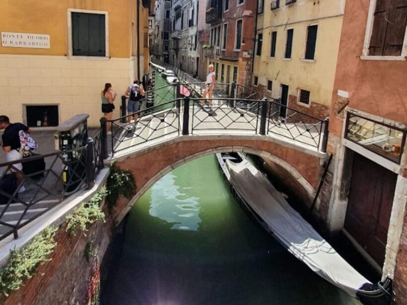 Easy Grappa Tasting in Venice - The Flavors You’ll Experience