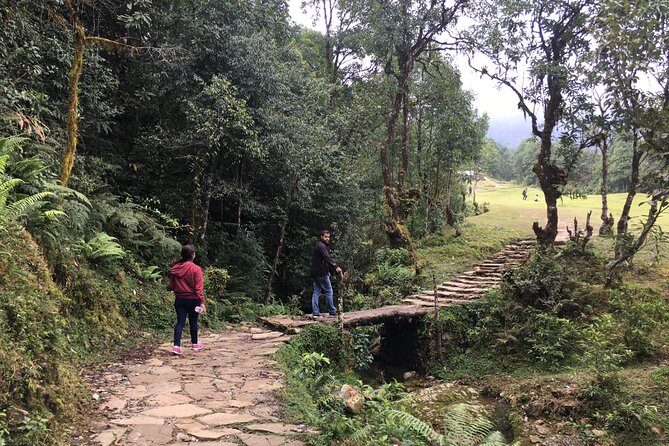 Easy Hiking to Dhampus Village from Pokhara - Key Points