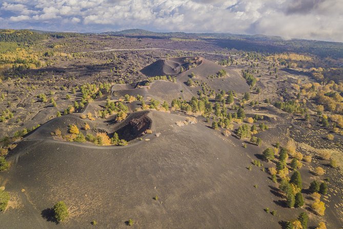 Easy North Etna Hike Review - Meeting Point and Logistics