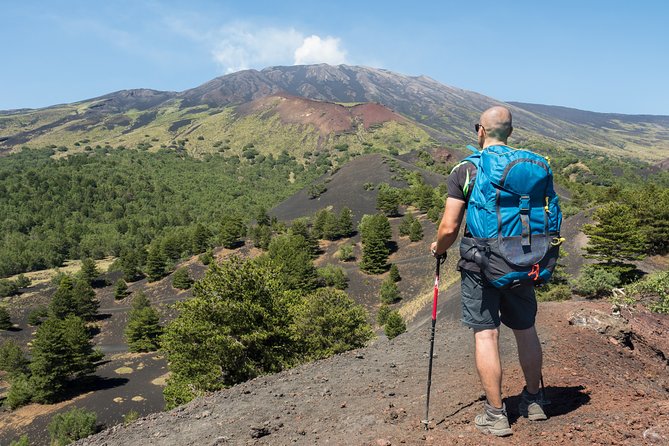 Easy North Etna Hike Review - Fitness and Accessibility Requirements