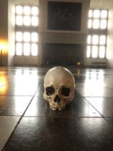 Easy Pace Tour of Kronbog Castle & Frederiksborg Palace W - Key Points