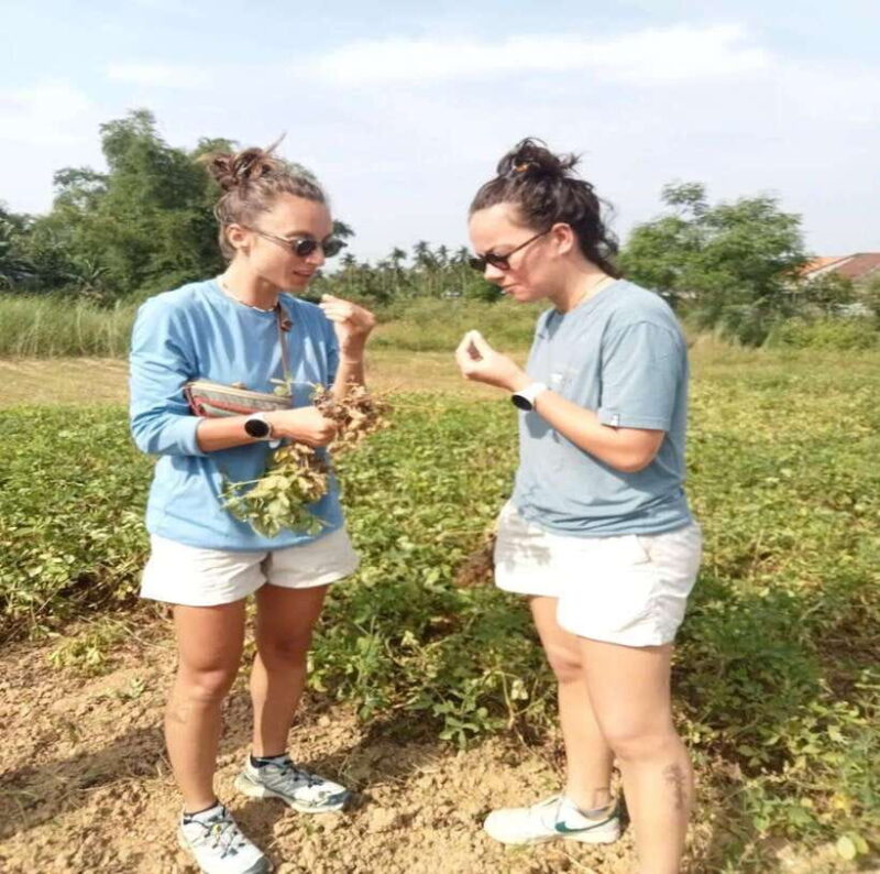 Easy Rider to My Son Sanctuary & Discovery Countryside Tour - The Value: What’s Included and What’s Not