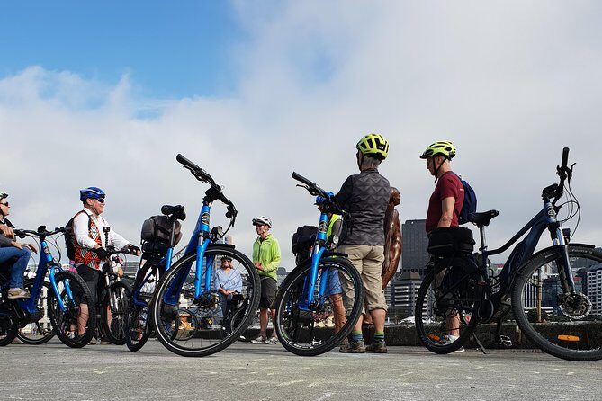 Easy Rider Two-Hour Wellington eBike Tour - Who Should Consider This Tour?