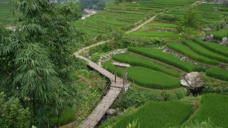 Easy Trek in Sapa mountain : Y Linh Ho - Lao Chai - Ta Van - Practical Details and Considerations