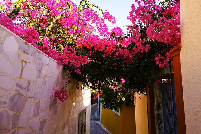 Easy Walks in Santorini Private Half Day Tour - Whats Included and Excluded