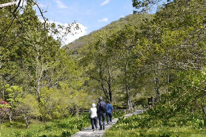 Easygoing Nature Walk in Hakone Tour - Inclusions and Equipment