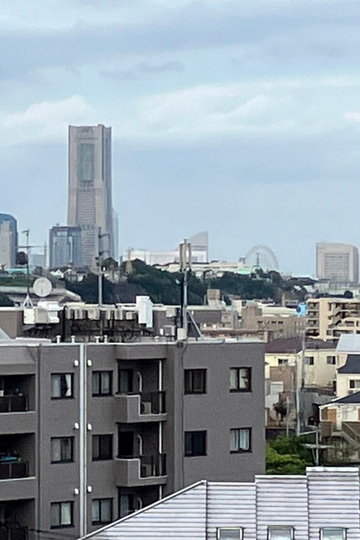 Eat Like a Local in Yokohama - With a Local Expert Guide! - Immersive Exploration of Yokohamas Food Scene