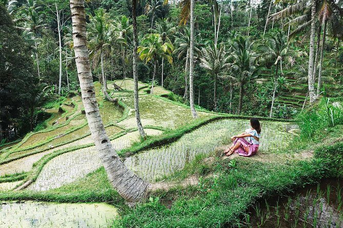 Eat Pray Love Bali Private Tour  Full Day - Who Should Consider This Tour?