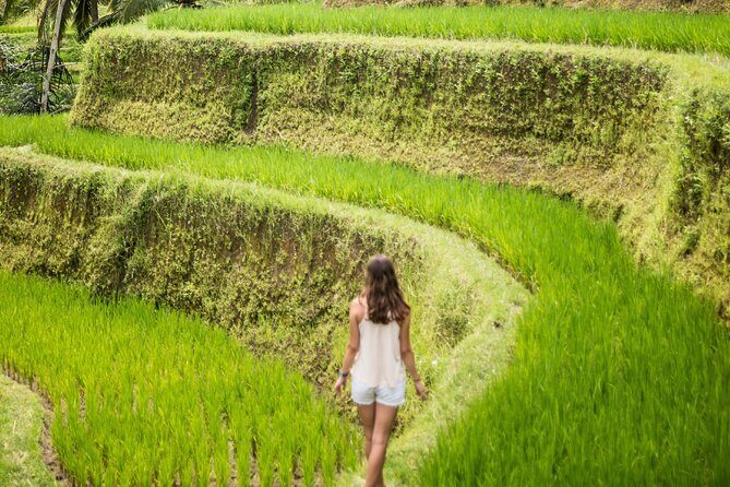 Eat Pray Love Bali Private Tour  Full Day - Final Thoughts