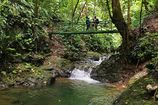 Ebano Waterfalls and Rainforest Safari Tour - Explore Ebano Natural Reserve