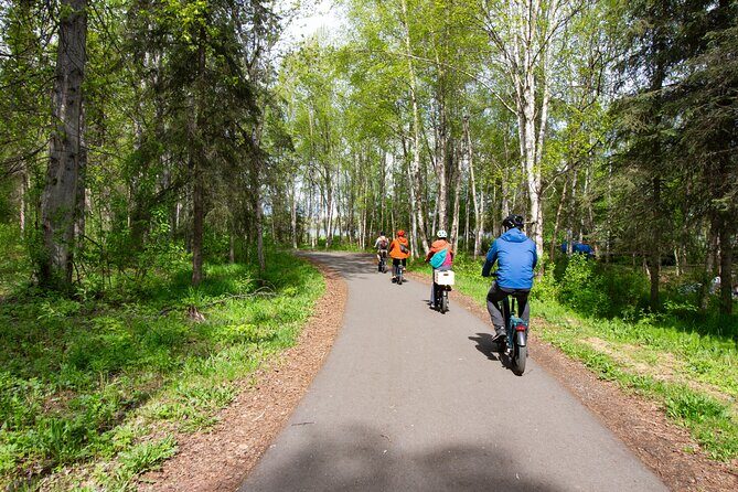 eBike Art and Trails Guided Tour of Anchorage - Why This Tour Is a Great Choice