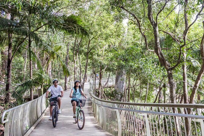 eBike Noosa Sightseeing Tour - New! - Authentic Experiences and What Travelers Say