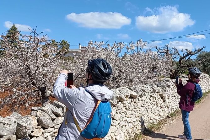 Ebike Tour Alberobello and Villages Puglia - Understanding Health and Safety Considerations