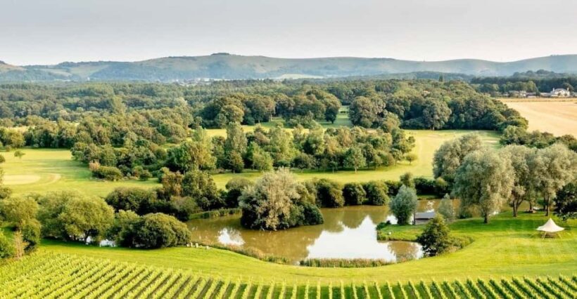 Ebike Tour Albourne Estate: Wine Tasting and Downs eBiking - FAQ
