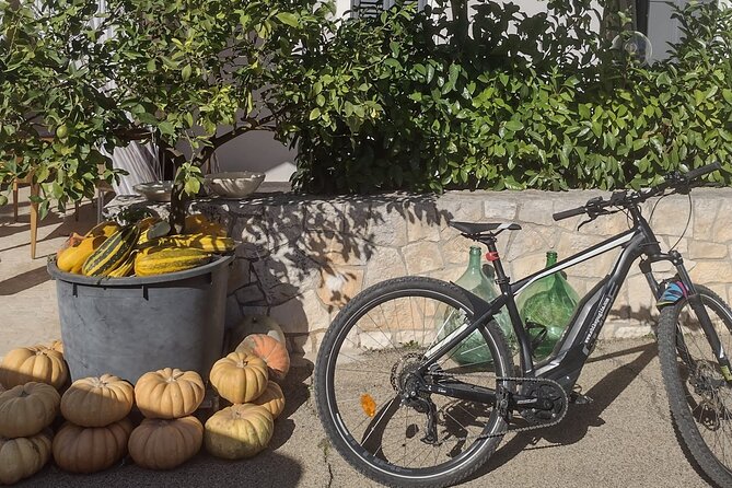 ebike tour: Authentic Itria Valley and local cuisine - FAQ
