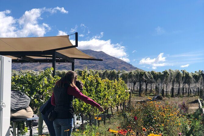 ebike tour lake Dunstan wine tasting - The Sum Up