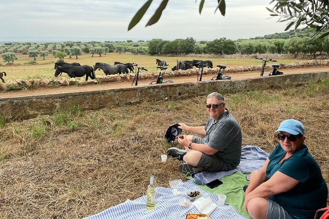 Ebike Tour Millennials Olive Trees Park with Aperitif - Key Points