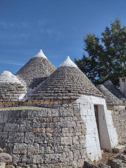 ebike tour: the villages of Valle d'Itria and typical food - FAQ