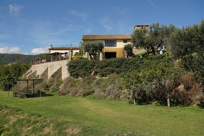 Ebike Tour, Winery, Wine Tasting & Sailing Experience(Car Option) - Winery Visit and Wine Tasting