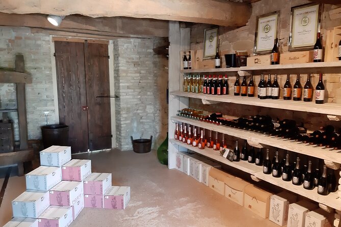 EBike tour with organic wine tasting - Final Thoughts