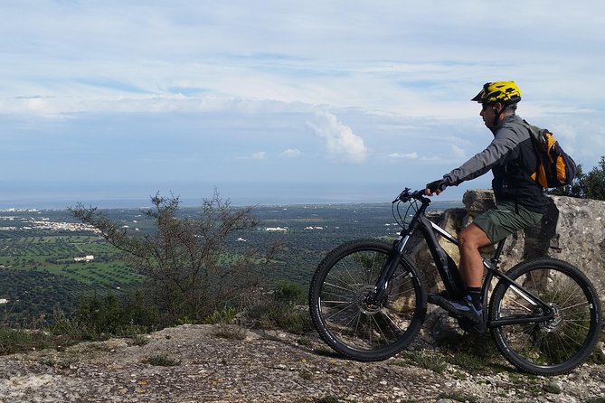 Ebike tours: Alberobello and the wines of Valle d'Itria - Potential Drawbacks or Considerations