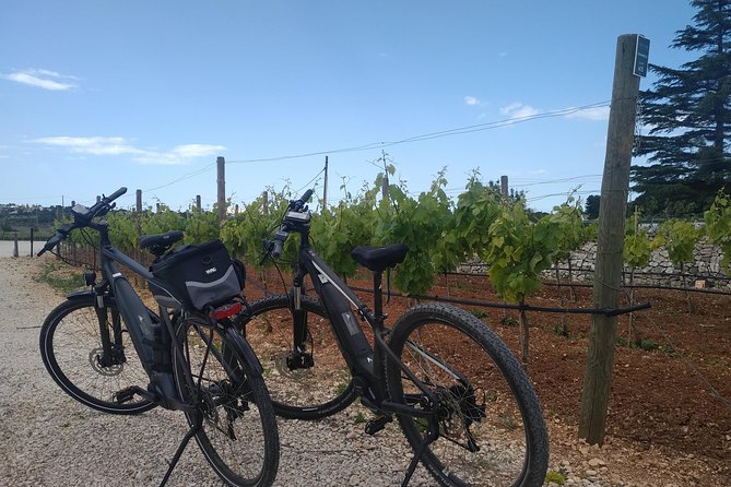 Ebike tours: Alberobello and the wines of Valle d'Itria - The Value and Who Should Consider It