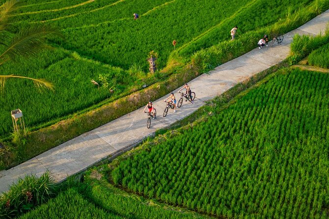 eBike Ubud Rice Terraces and Traditional Villages Cycling - The Route and What to Expect