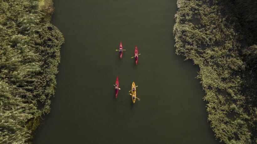 Ebro Delta: Guided Kayak Tour to Gracia Island - Key Points