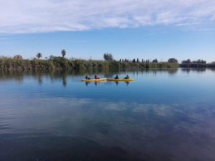 Ebro Delta: Guided Kayak Tour to Gracia Island - An In-Depth Look at the Kayak Tour