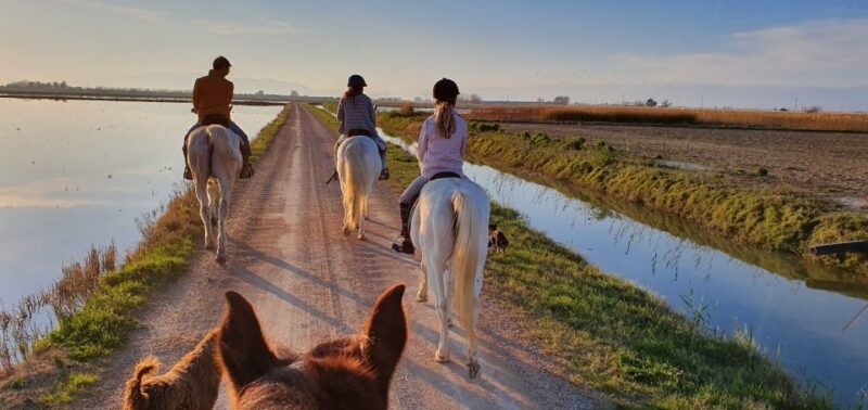 Ebro Delta National Park: Guided Horseback Riding Tour - The itinerary explained