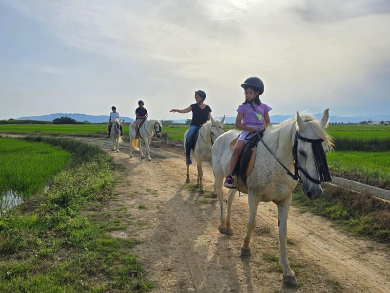 Ebro Delta National Park: Guided Horseback Riding Tour - What to expect during the ride