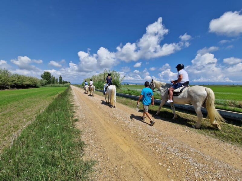 Ebro Delta National Park: Guided Horseback Riding Tour - The environment and scenery