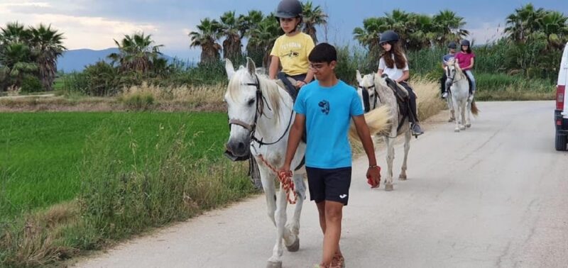 Ebro Delta National Park: Guided Horseback Riding Tour - Pricing and value