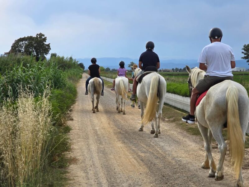 Ebro Delta National Park: Guided Horseback Riding Tour - The Sum Up