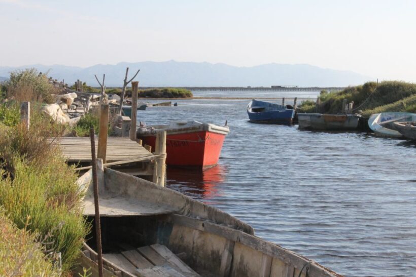 Ebro Delta: Northern Delta Guided Tour with a Local - Key Points
