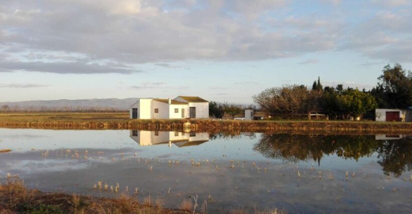 Ebro Delta: Northern Delta Guided Tour with a Local - A Closer Look at the Experience