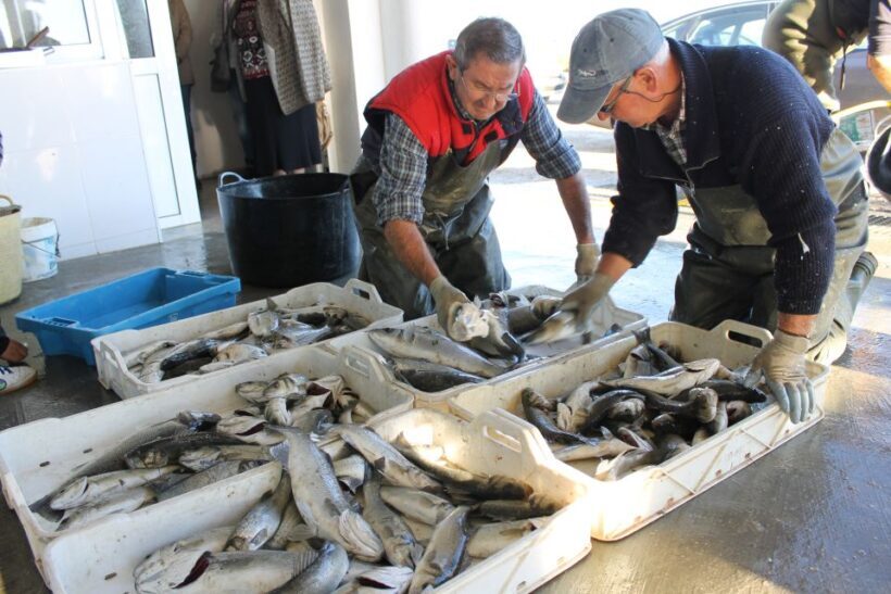 Ebro Delta: Northern Delta Guided Tour with a Local - Final Thoughts