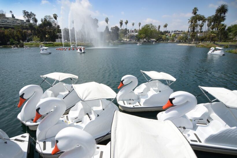 Echo Park Lake: Swan Pedal Boat Rental - Key Points